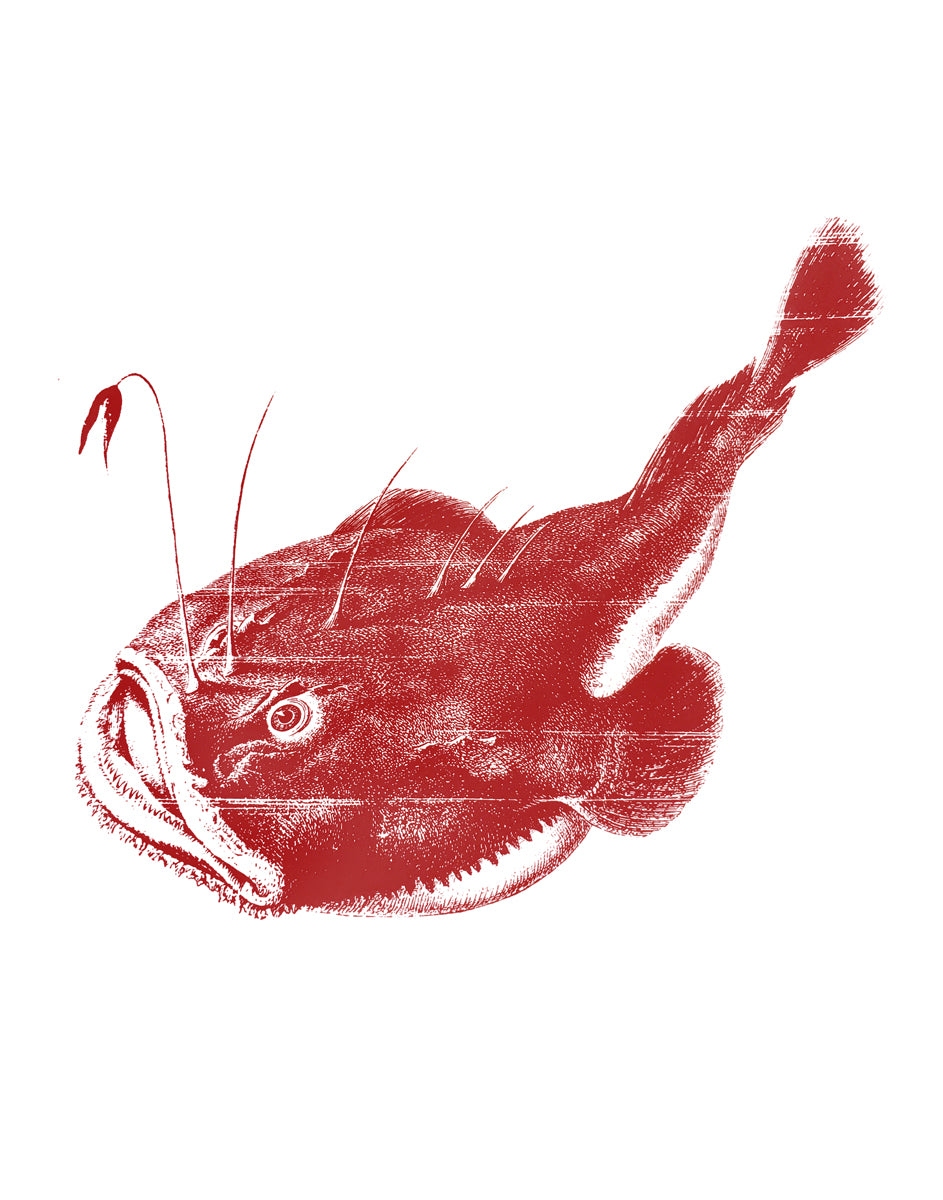 Goosefish Print – Handdruck